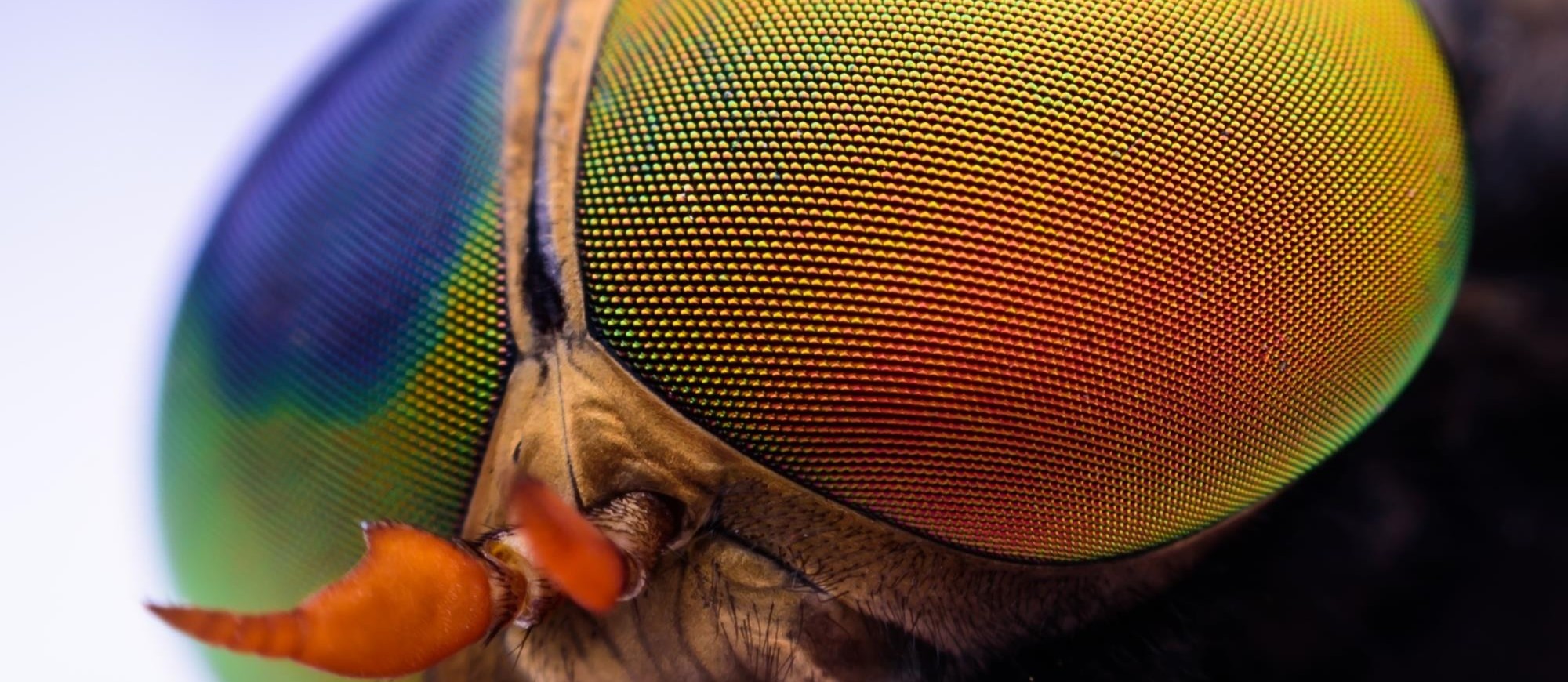 Economics Update November 2025 - 2026: Weaker global growth momentum ...